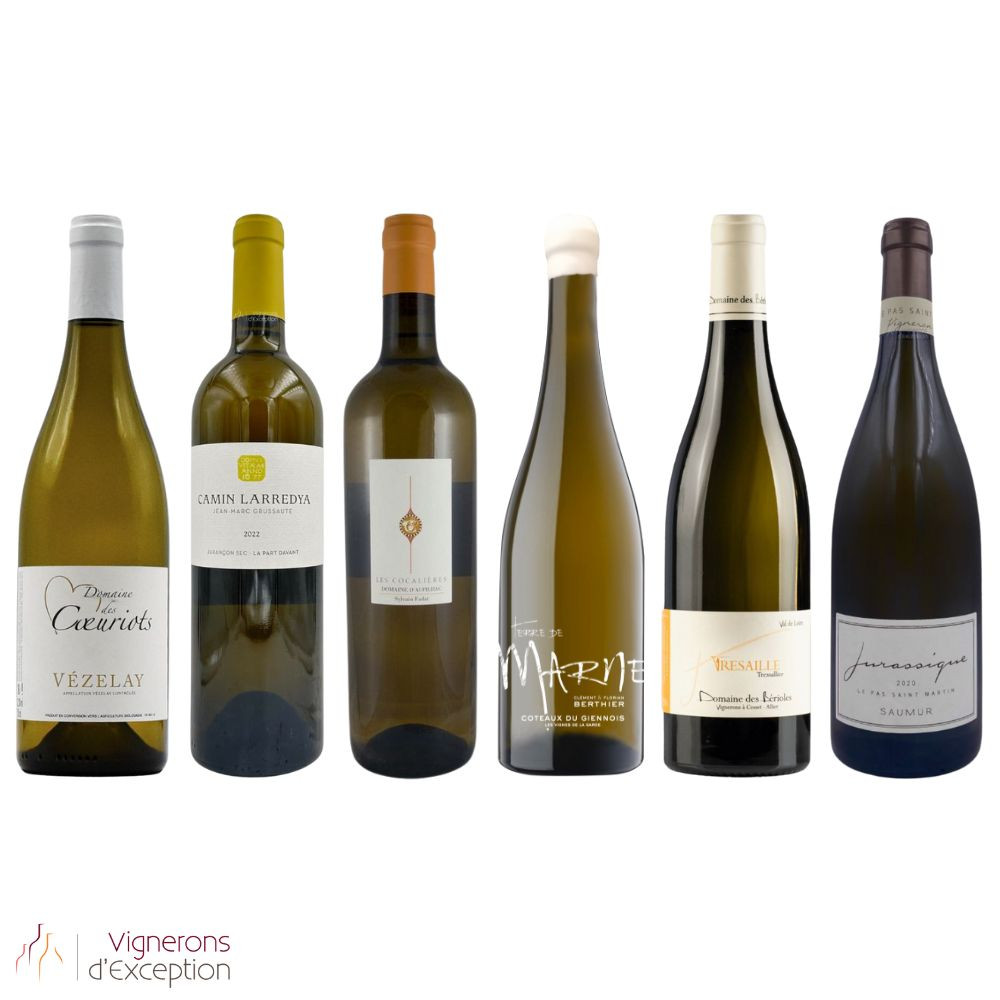 Découverte du Vin Blanc Bio, France, Vin en ligne